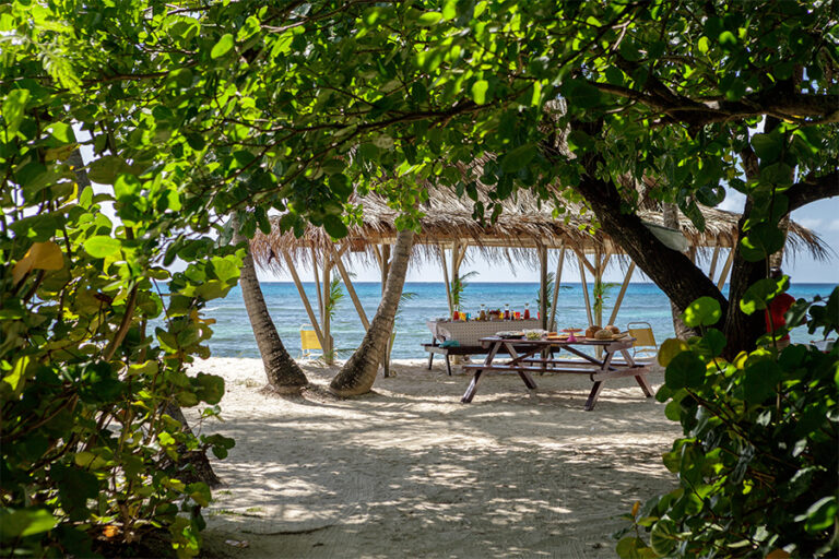 The Ultimate Mustique Travel Guide | La Patiala, the Luxury Encyclopedia