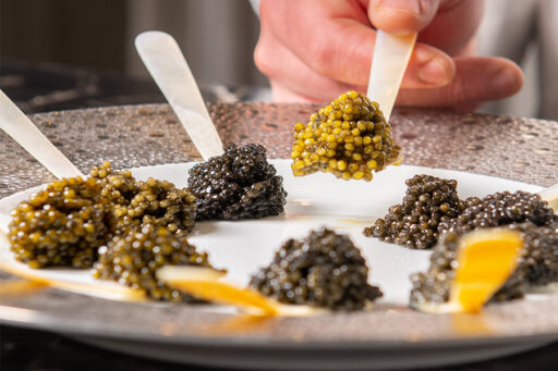 The Ultimate Beluga Caviar Guide | La Patiala