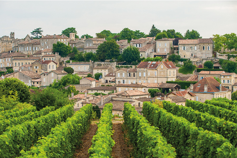 Bordeaux Wine Explained: Regions, Styles, and the Best Bottles | La Patiala