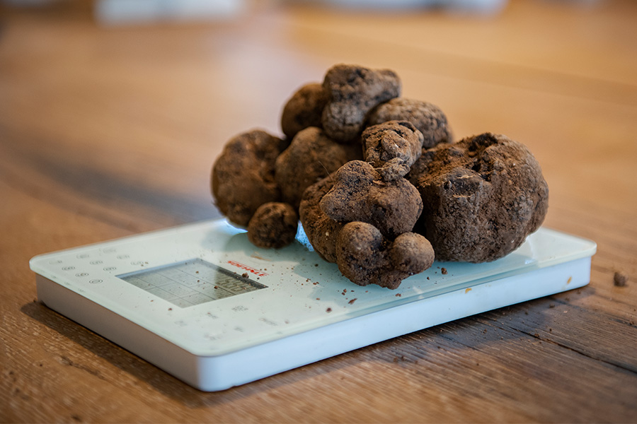 What Is a Truffle? How to Buy and Enjoy All Types of Truffles | La Patiala